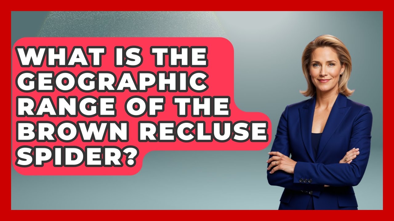 What Is The Geographic Range Of The Brown Recluse Spider? - Insects and ...