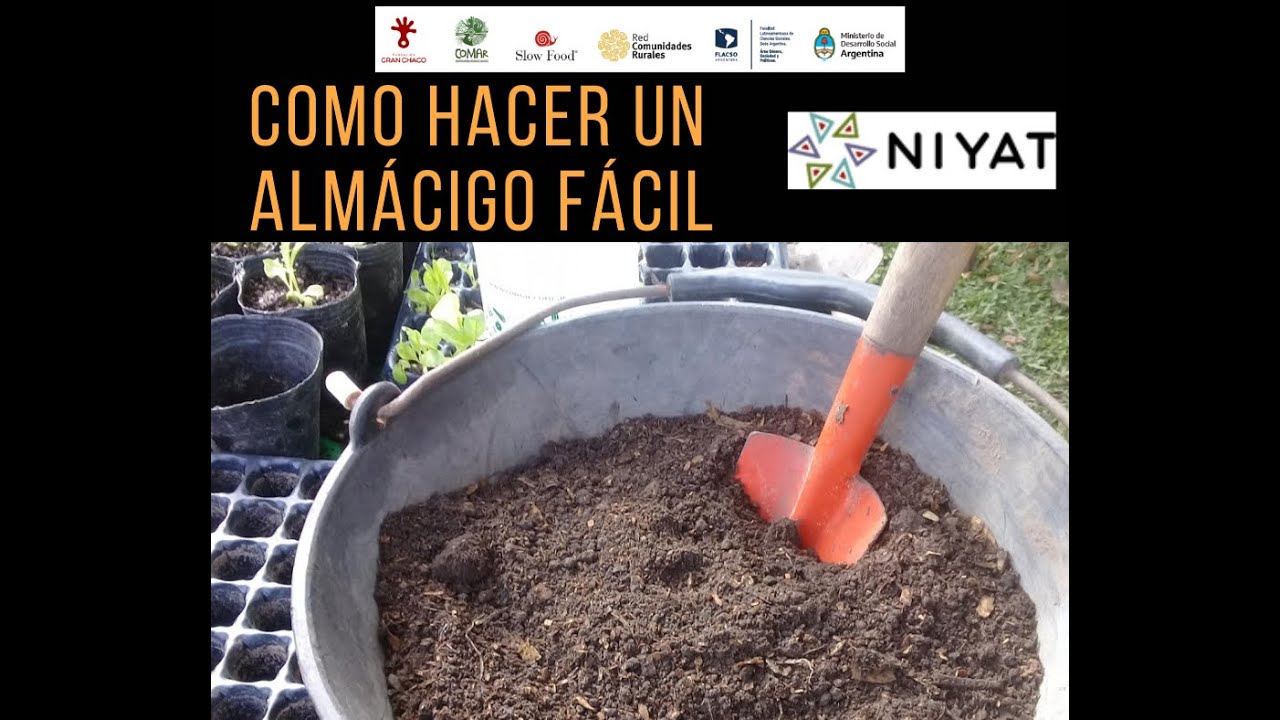 CÓMO HACER UN ALMACIGO FÁCIL - YouTube