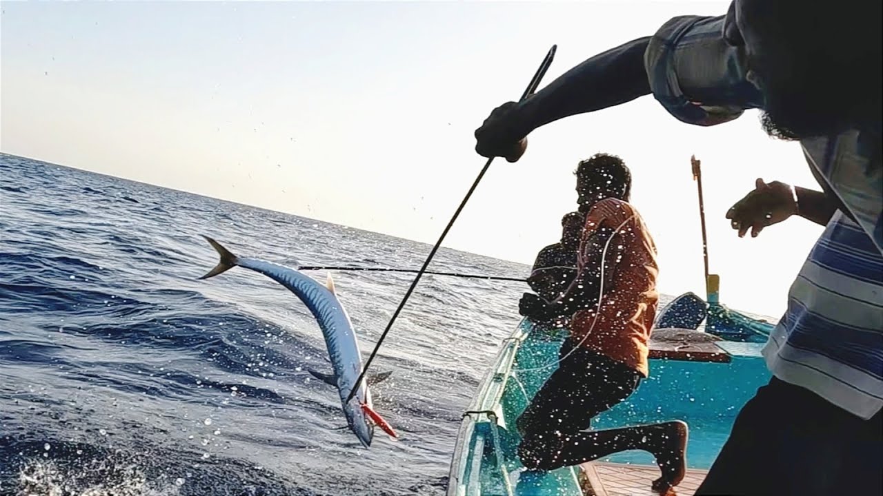 Back to Back King Fish Caught in the Deep Sea - YouTube