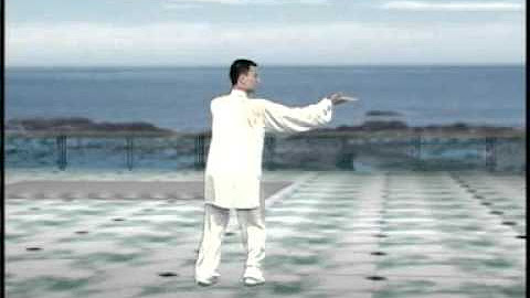 Tai Chi 48 Form - YouTube