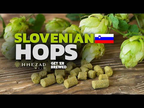 How Slovenian Hops Make Your Beer Better // Get Er Brewed