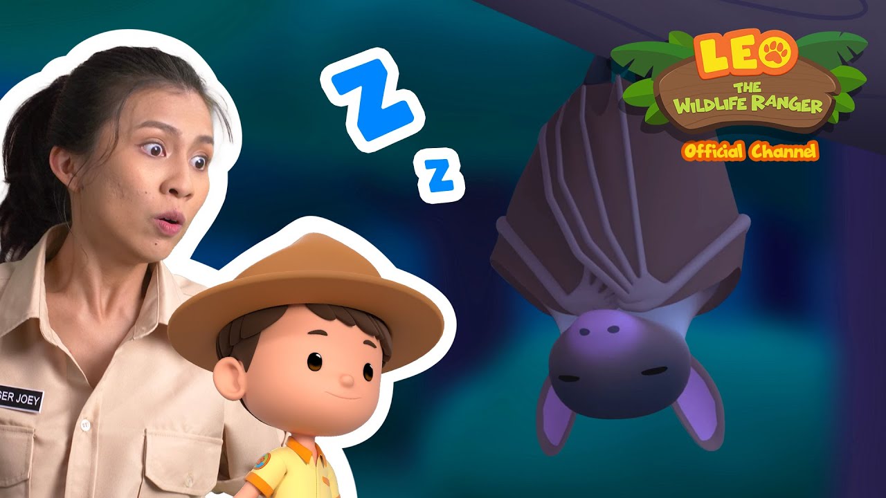 🦇Bat Appreciation Month🦇 | Dawn Bat | Leo the Wildlife Ranger | # ...