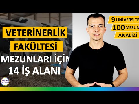 Veteriner Hekimlik | Veterinerlik Fakültesi | Dersleri, İş İmkanları ve Geleceği
