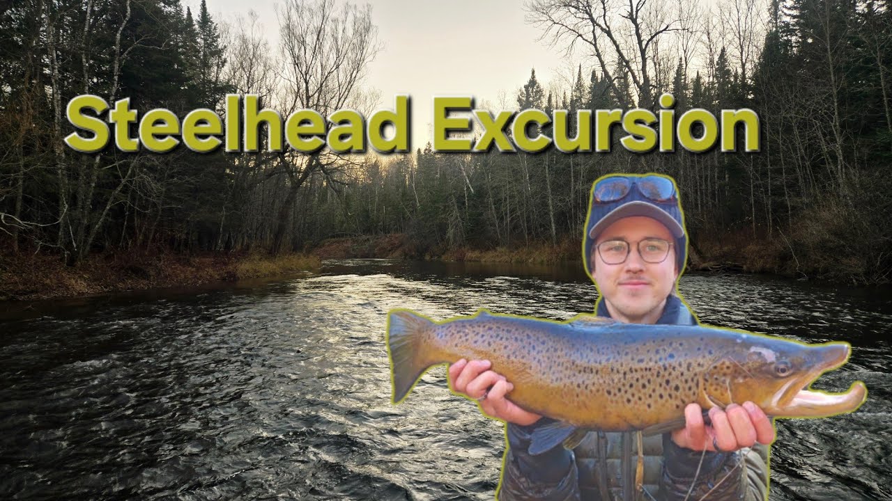 WI Steelhead Fall 2025 - YouTube