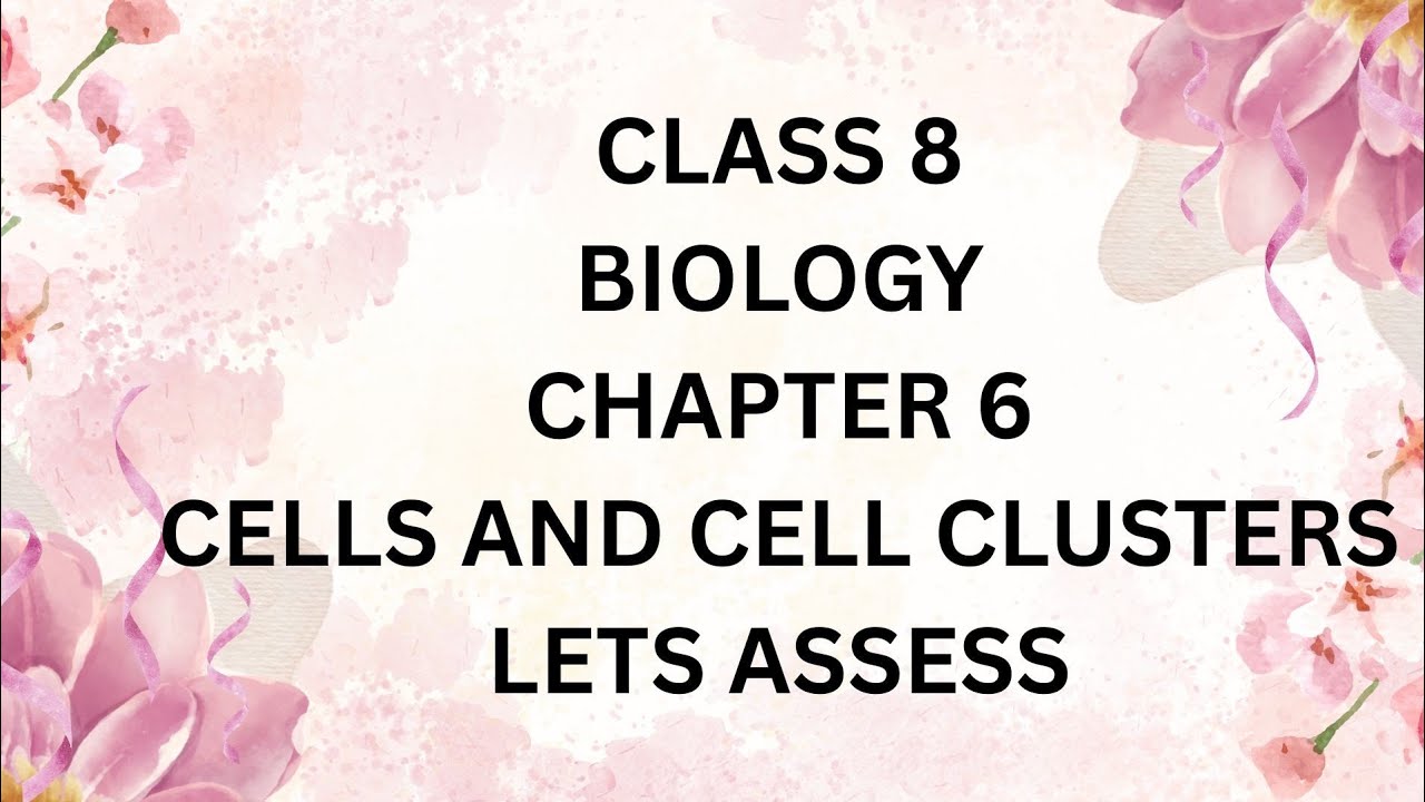CLASS 8|BIOLOGY|CHAPTER 6/CELLS AND CELL CLUSTERS /LETS ASSESS - YouTube