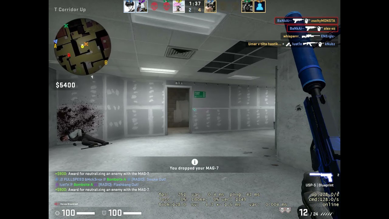 4k ROPL GOLD - YouTube