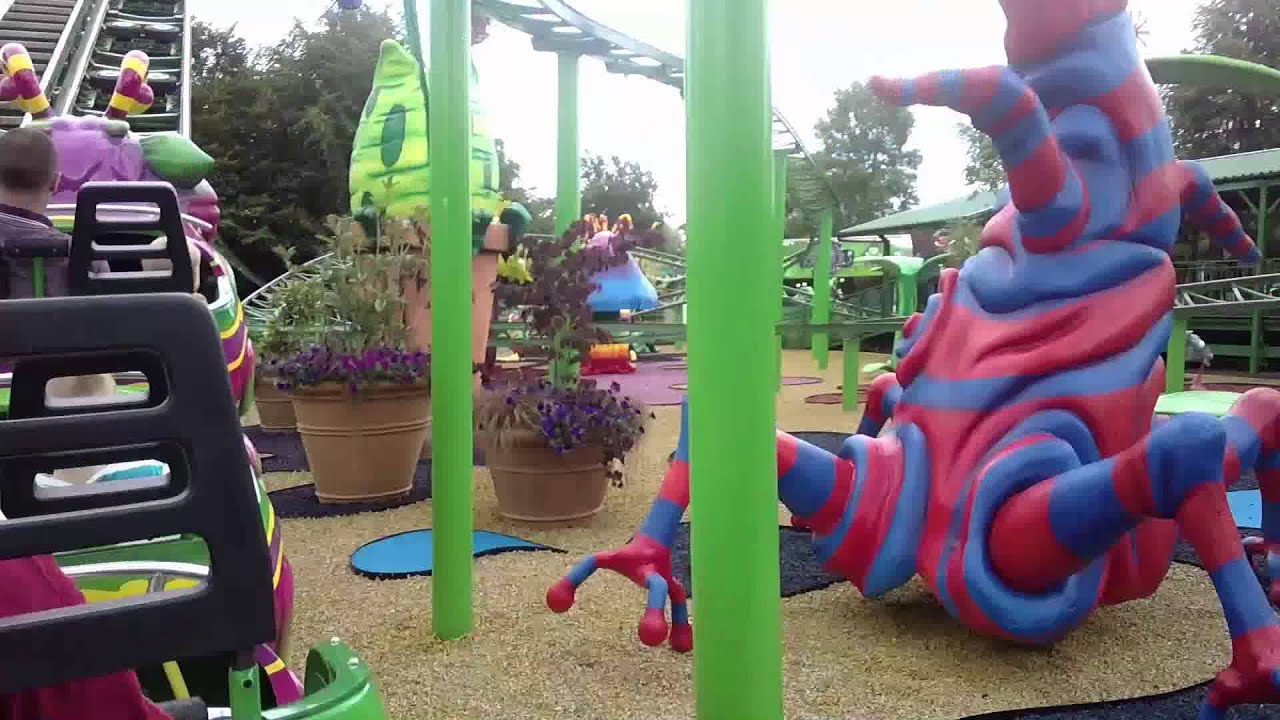Cat O Pillar POV - YouTube