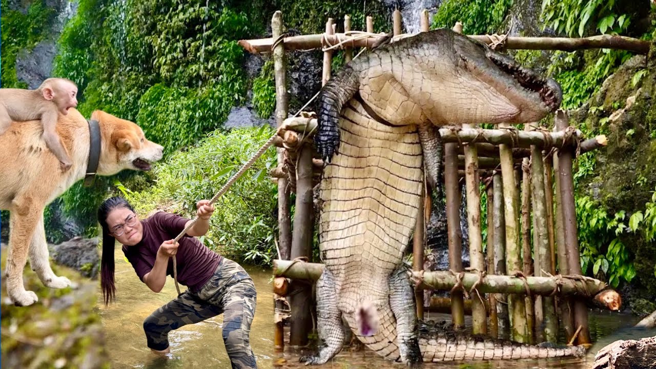 Girl traps crocodile in tropical forest,Survival alone - YouTube