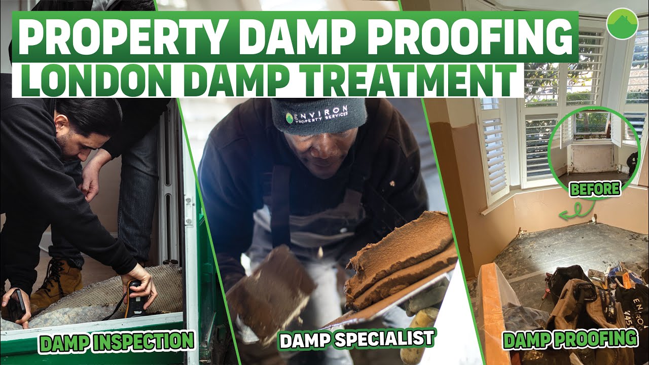 Advanced Damp Proofing Solutions for Homes: Property Damp Treatment In ...