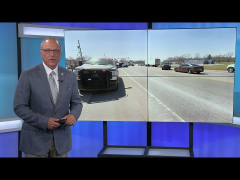 Dogs owned by couple killed in Avoca motorcycle crash in need of new home