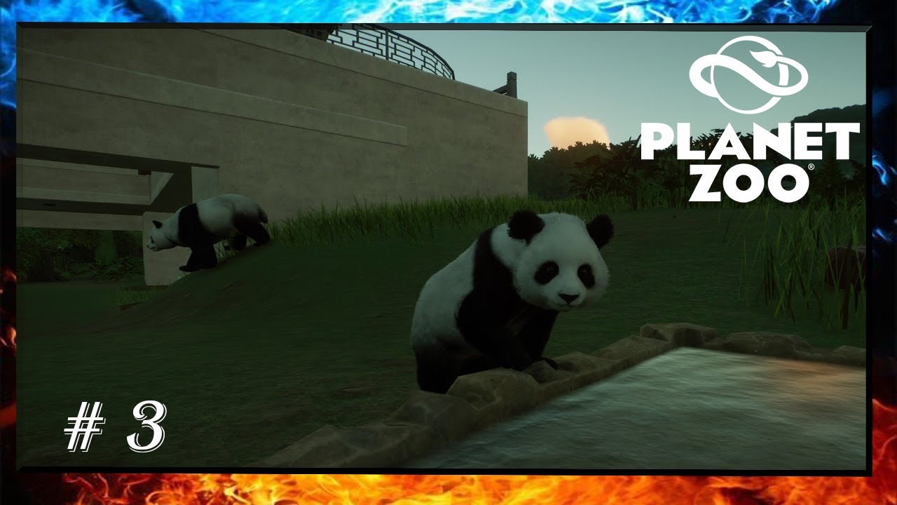 Planet Zoo 3: Des pandas !! - YouTube