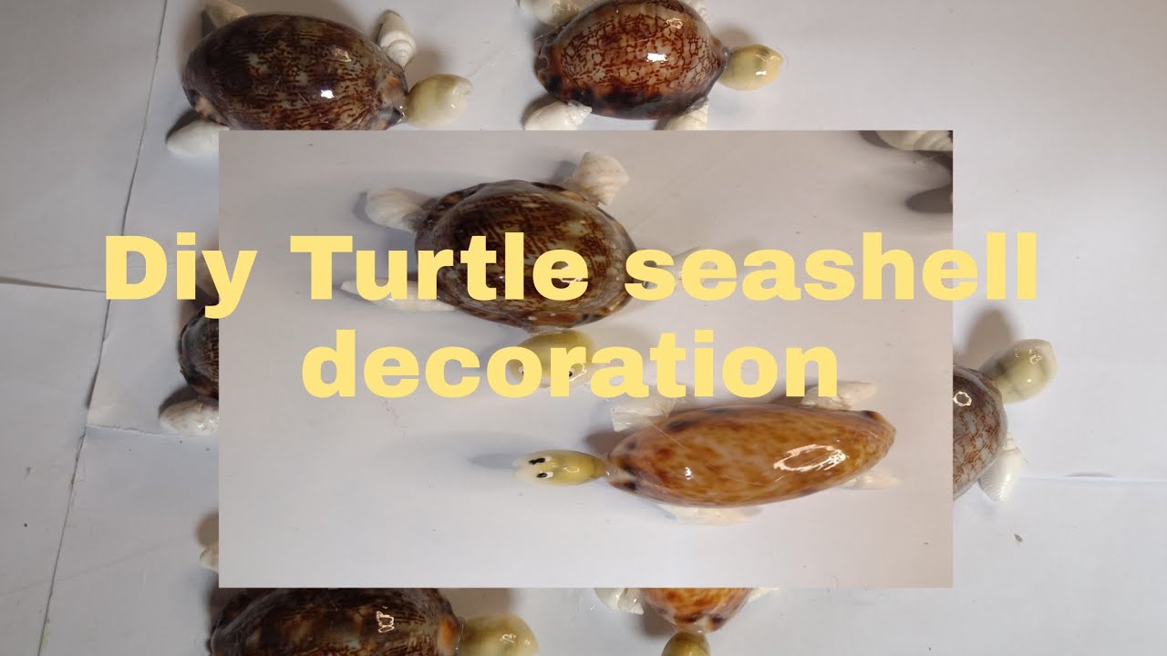#shellcraft DIY Seashell Turtle Decoration@Froilan77TV - YouTube