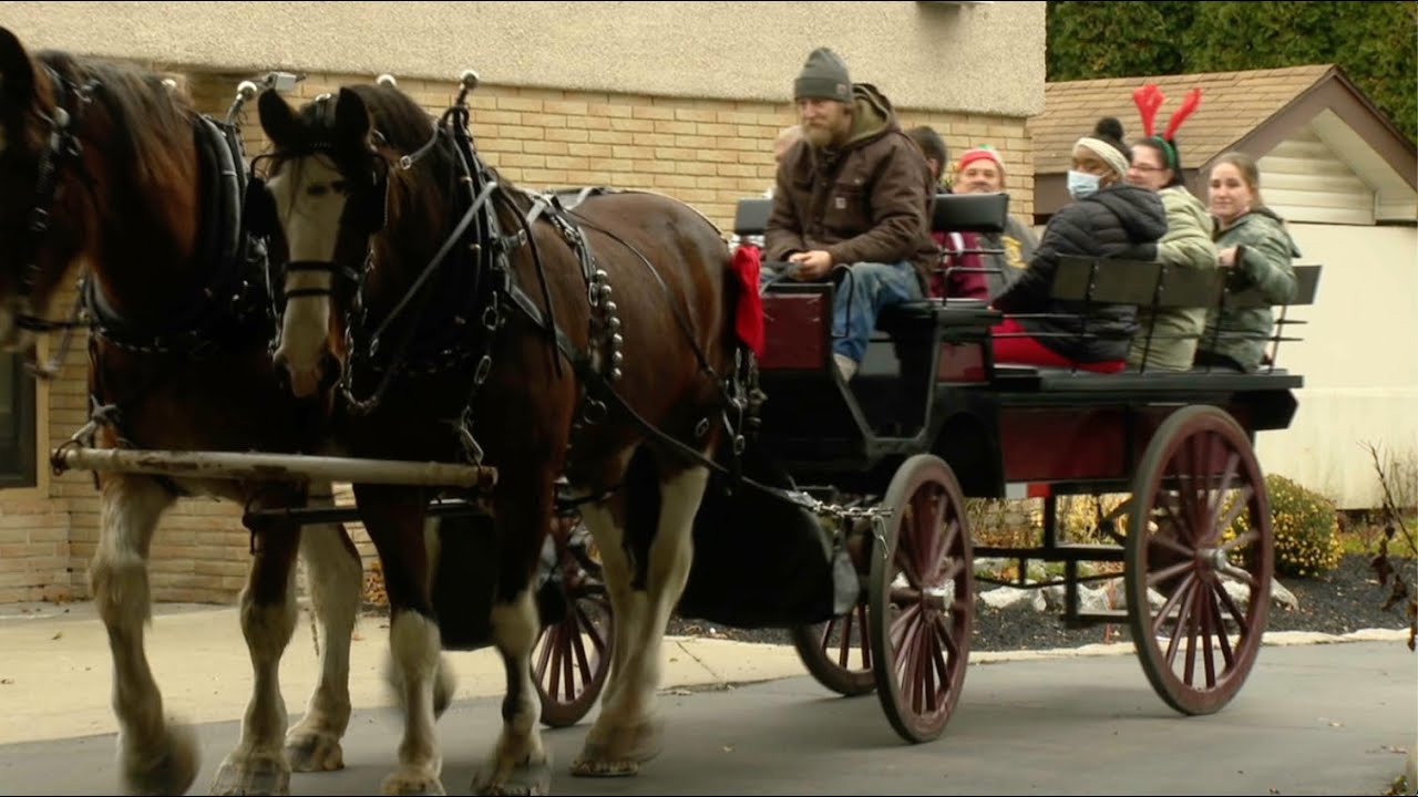 Living Legends - Garden Gate Carriage Rides - ABC Buffalo - YouTube