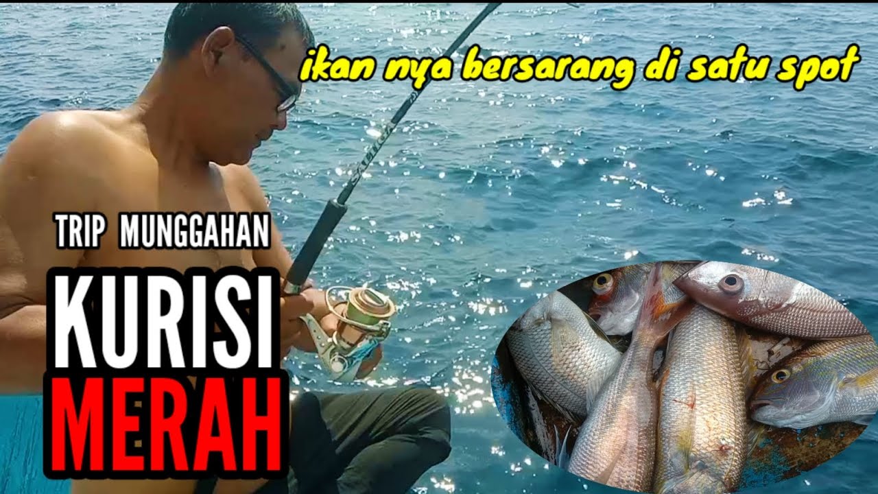 ikan kurisi merah nya bersarang di satu spot,,trip Munggahan auto ful ...