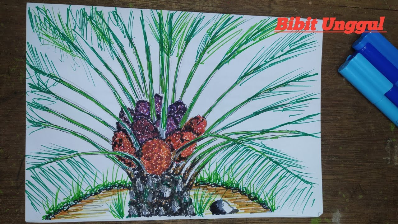 Tutorial Menggambar Pohon Kelapa Sawit | Sawit Lebat, Buah Montok - YouTube