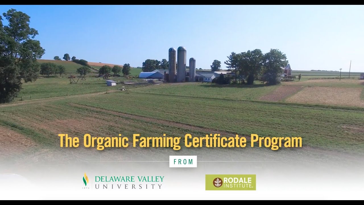 Organic Farming Certificate Program - YouTube