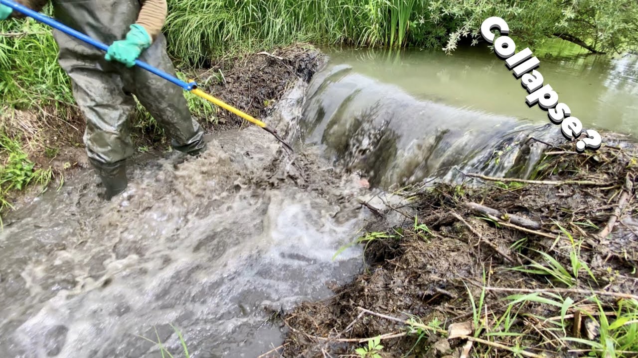 Beaver Dam Removal || Will It COLLAPSE ? - YouTube