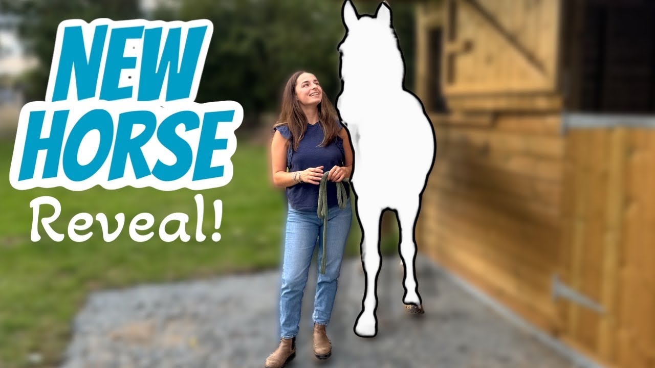 MEET MY NEW HORSE - YouTube