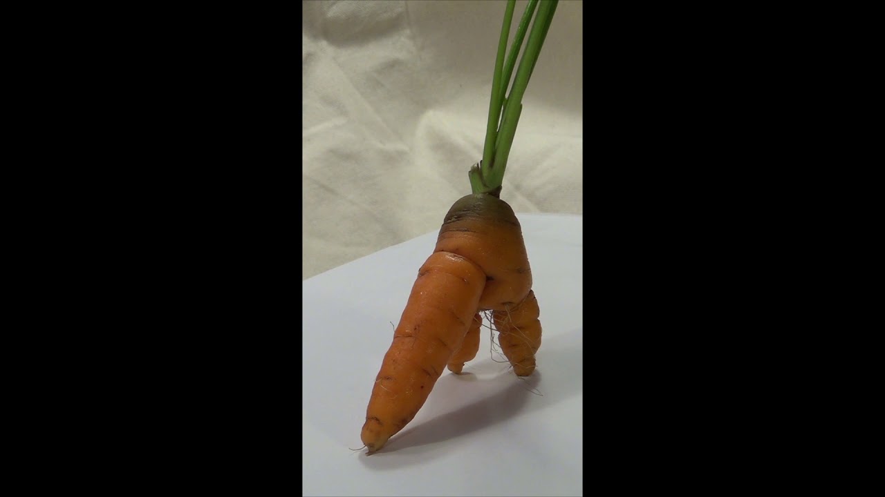 The horrific mutant carrot - YouTube