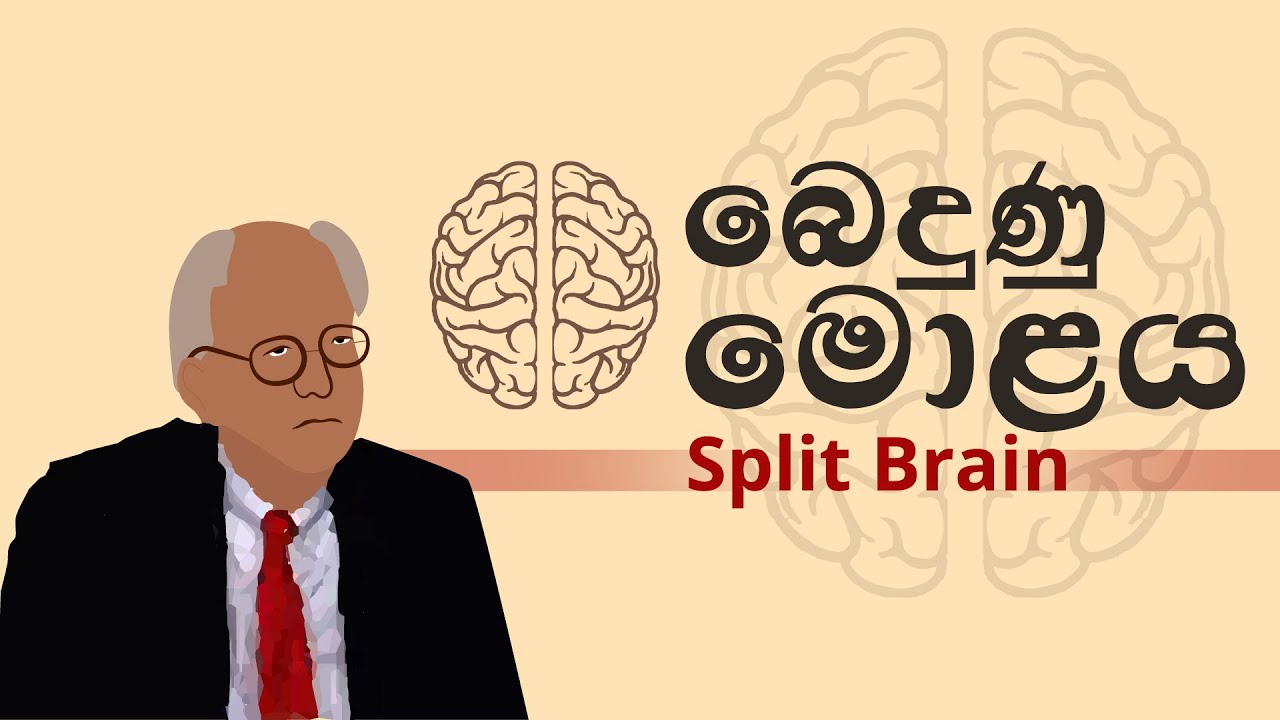 බෙදුණු මොළය (Split Brain) - YouTube