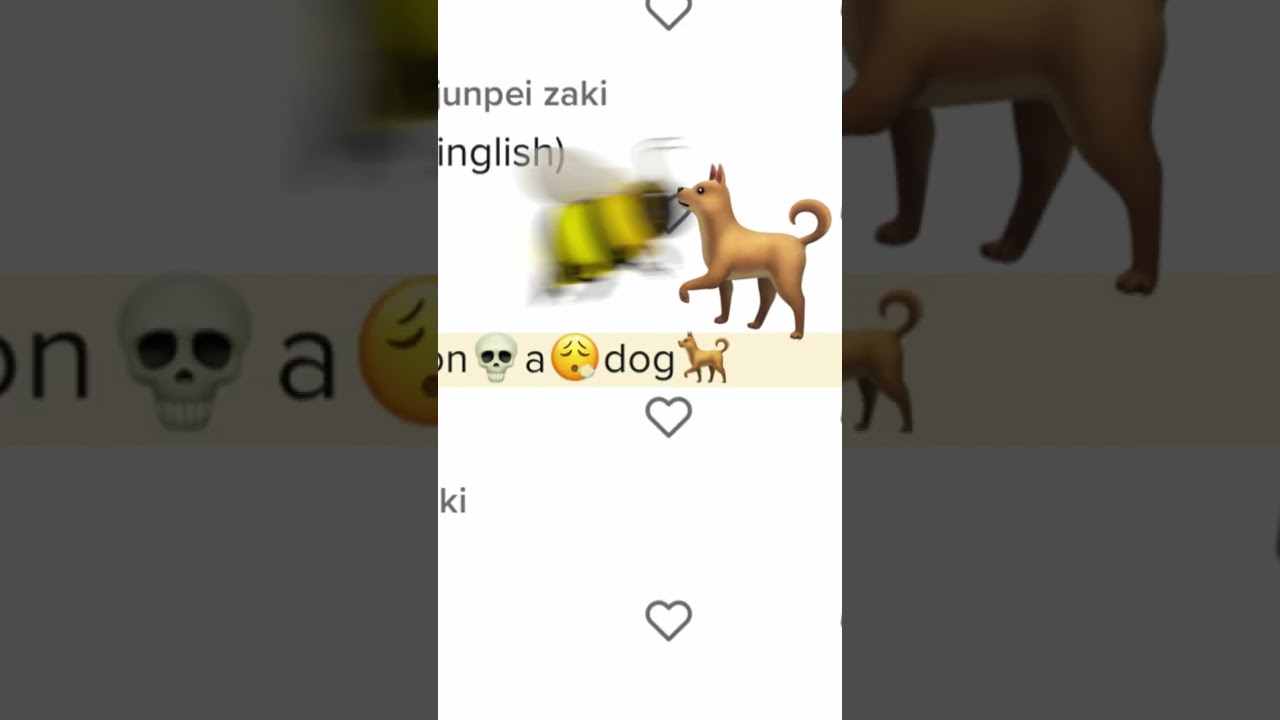 mY bEe sTePpEd oN a dOg 😂😂 - YouTube