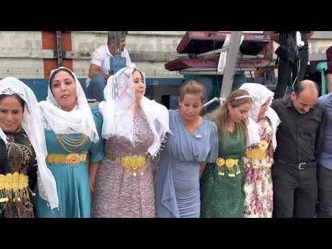 Siberti  aşireti Hilavitin davul zurna