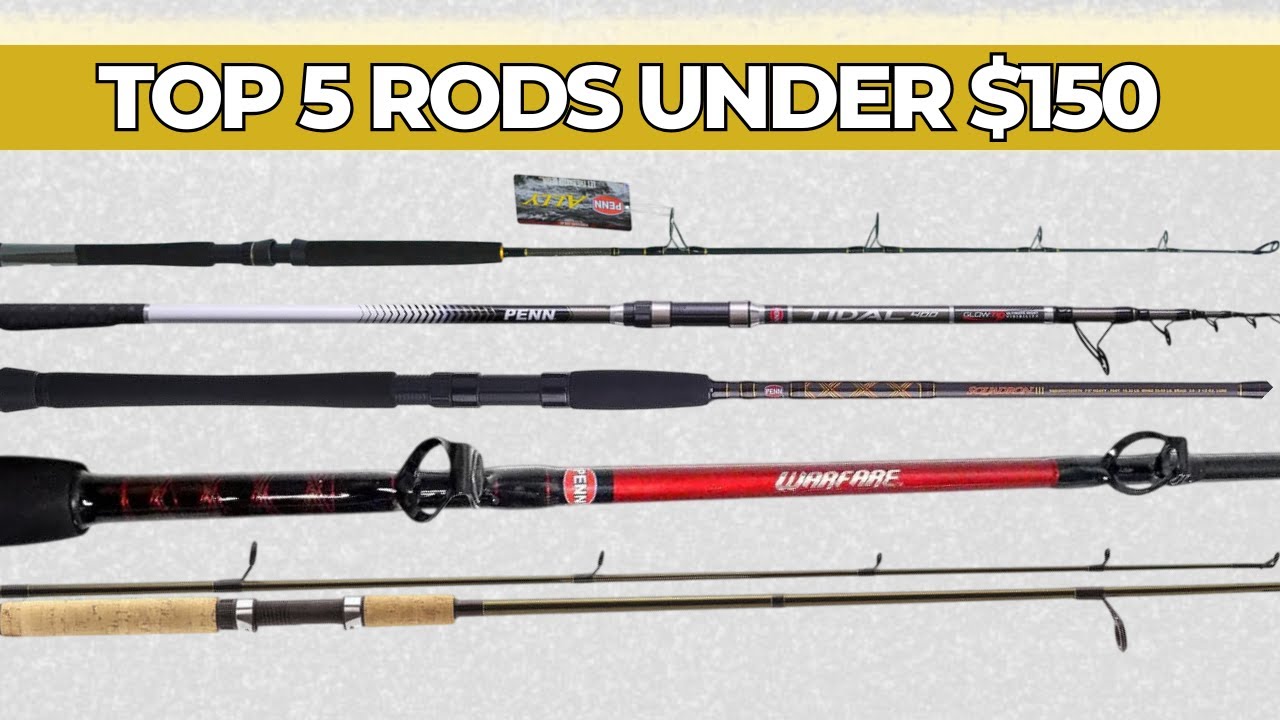 Best Saltwater Rods Under $150 - YouTube