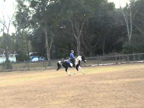 Harmony Cross Cantering - YouTube
