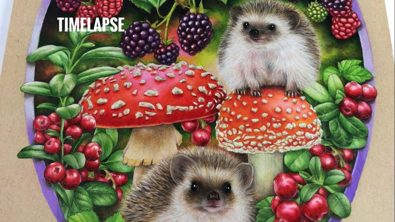 BERRYLAND - Timelapse Drawing // Chris Cheng - YouTube