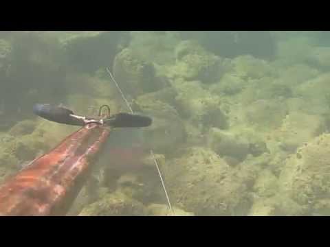 KOFANA 4KG SIĞ SU   ATİ & CÜNEYT