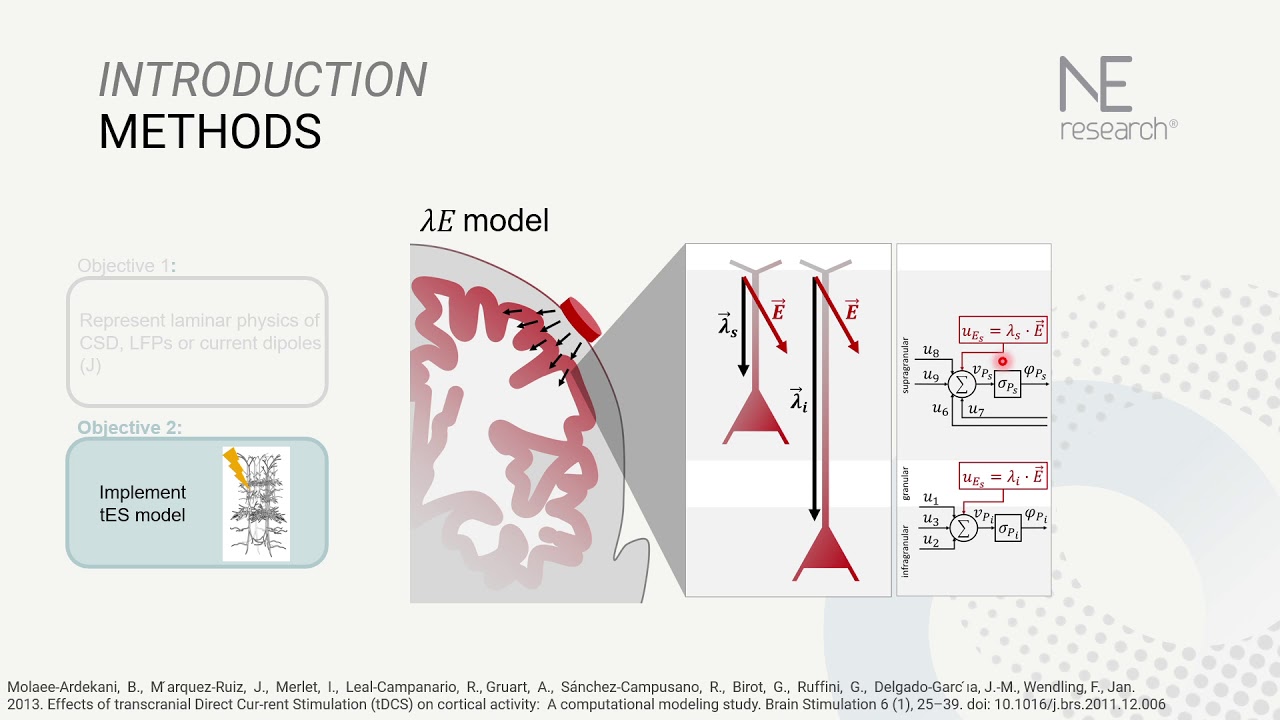 A Biologically Realistic Laminar Neural Mass Modelling Framework for ...