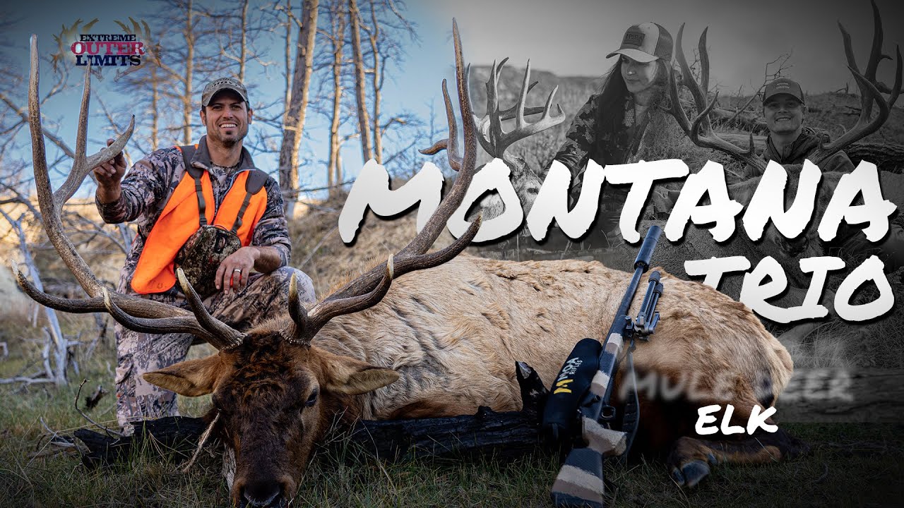 Montana Trio - Lone Bull Elk Down! - 4K. - YouTube