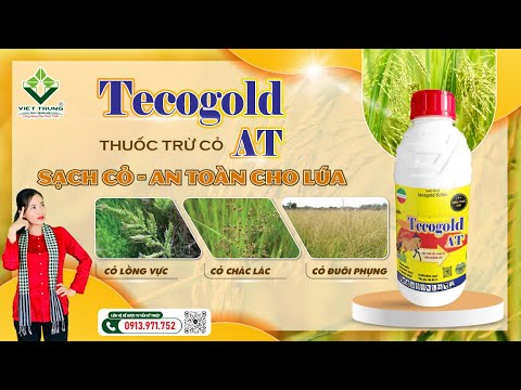 [Tư Vấn Kỹ Thuật] TECO GOLD AT - QUẢN LÝ CỎ DẠI TRÊN RUỘNG LÚA - YouTube