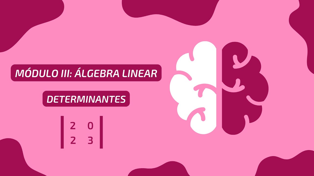 Módulo III: Álgebra Linear - Determinantes - Como estudar para qualquer ...