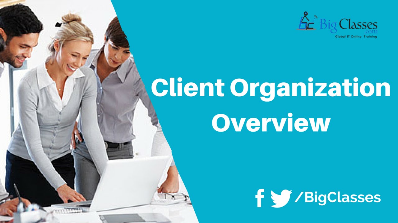 Business Analysis Fundamentals Introduction - Client Organization step ...