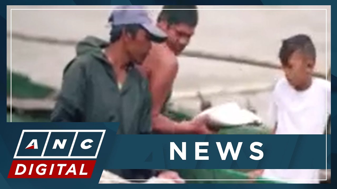 Capellan: SunAsia's planned floating solar project in Laguna Lake will ...