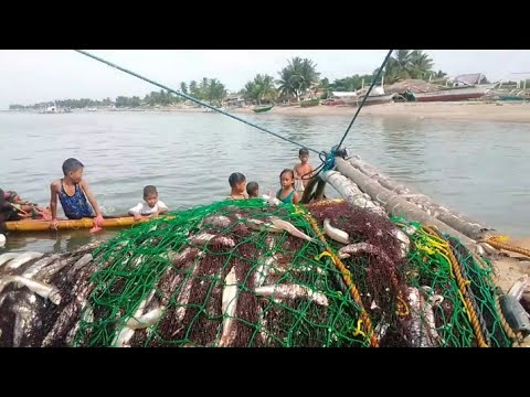 NET FISHING | BULAN SORSOGON PH @Mr.idolvlogs@androsolas4778 ...