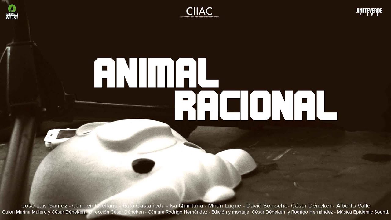 ANIMAL RACIONAL - YouTube