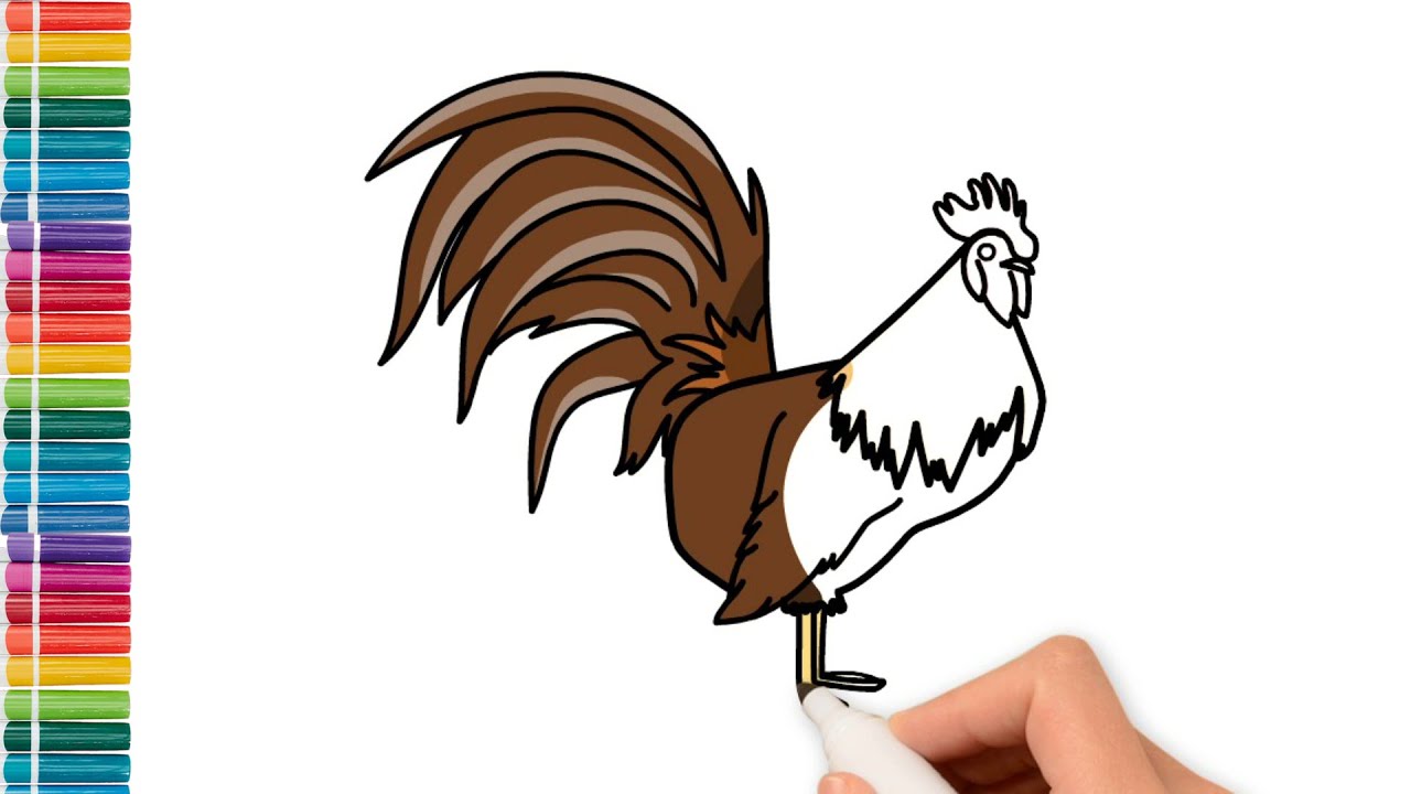 How to draw a rooster step by step - YouTube