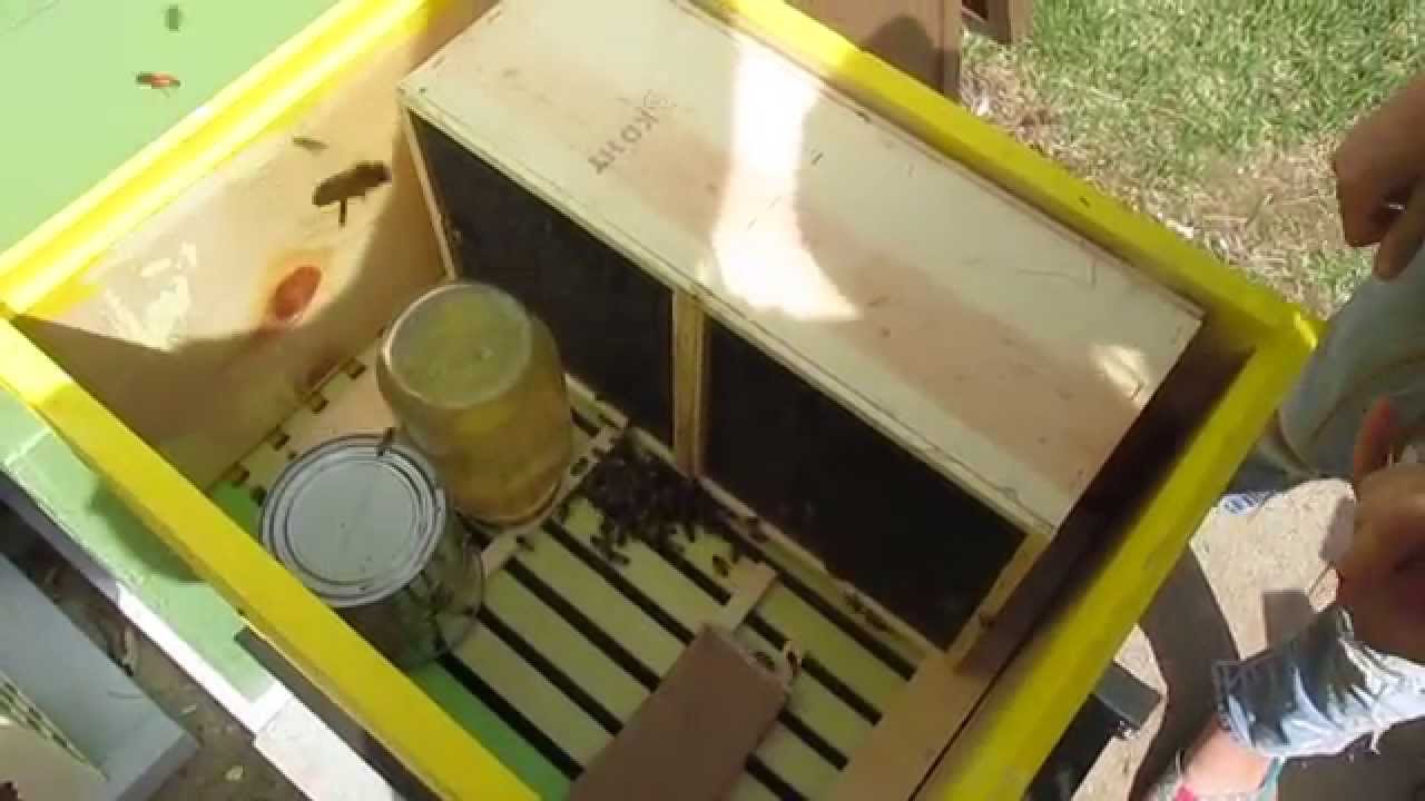 Instalation of package Tim Ives Style. - YouTube