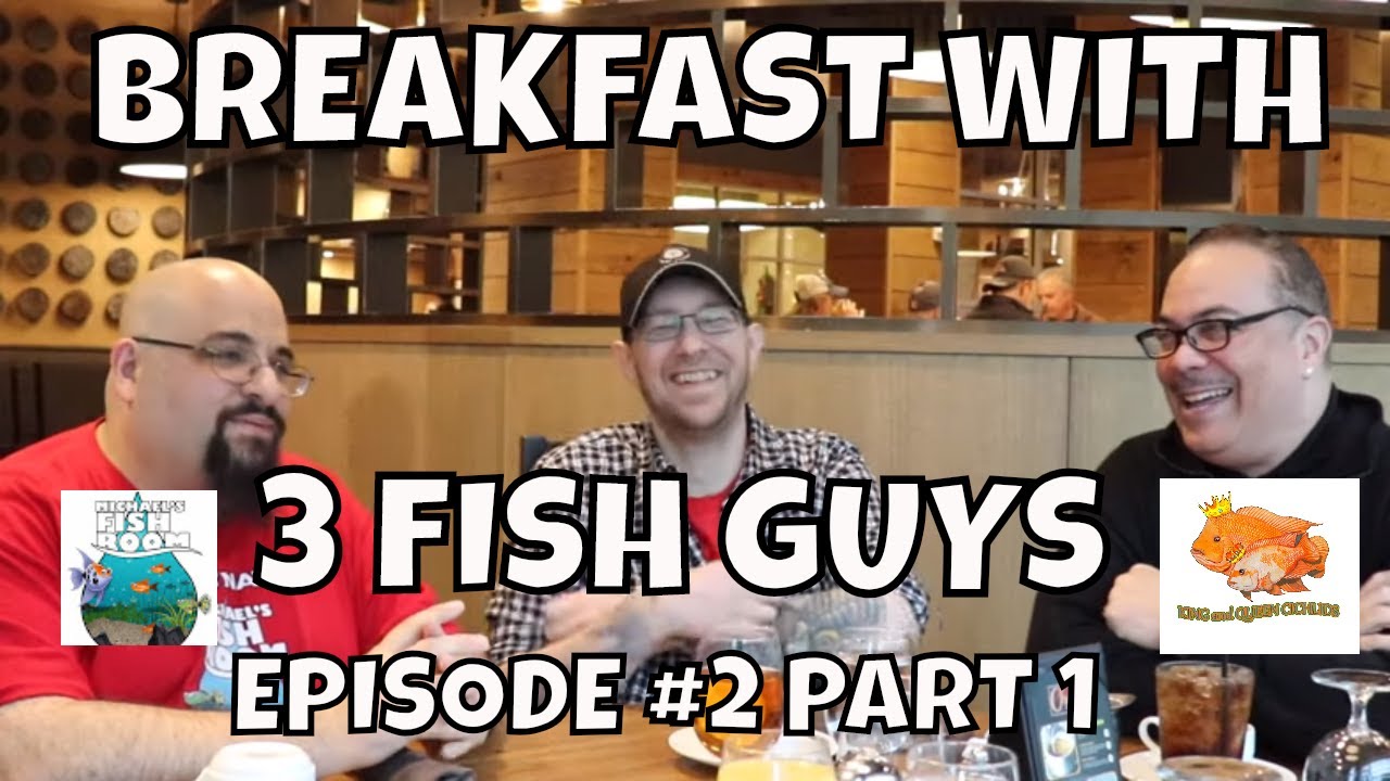 Breakfast with 3 fish guys Episode #2 - YouTube