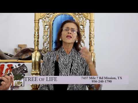 Tree of Life Show 1 - YouTube