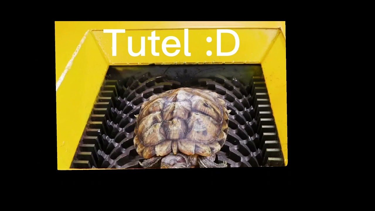 Tutel :D - YouTube