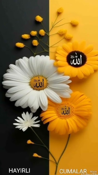سورة تنتهى اياتها بحرف السين؟؟💛 Youtube