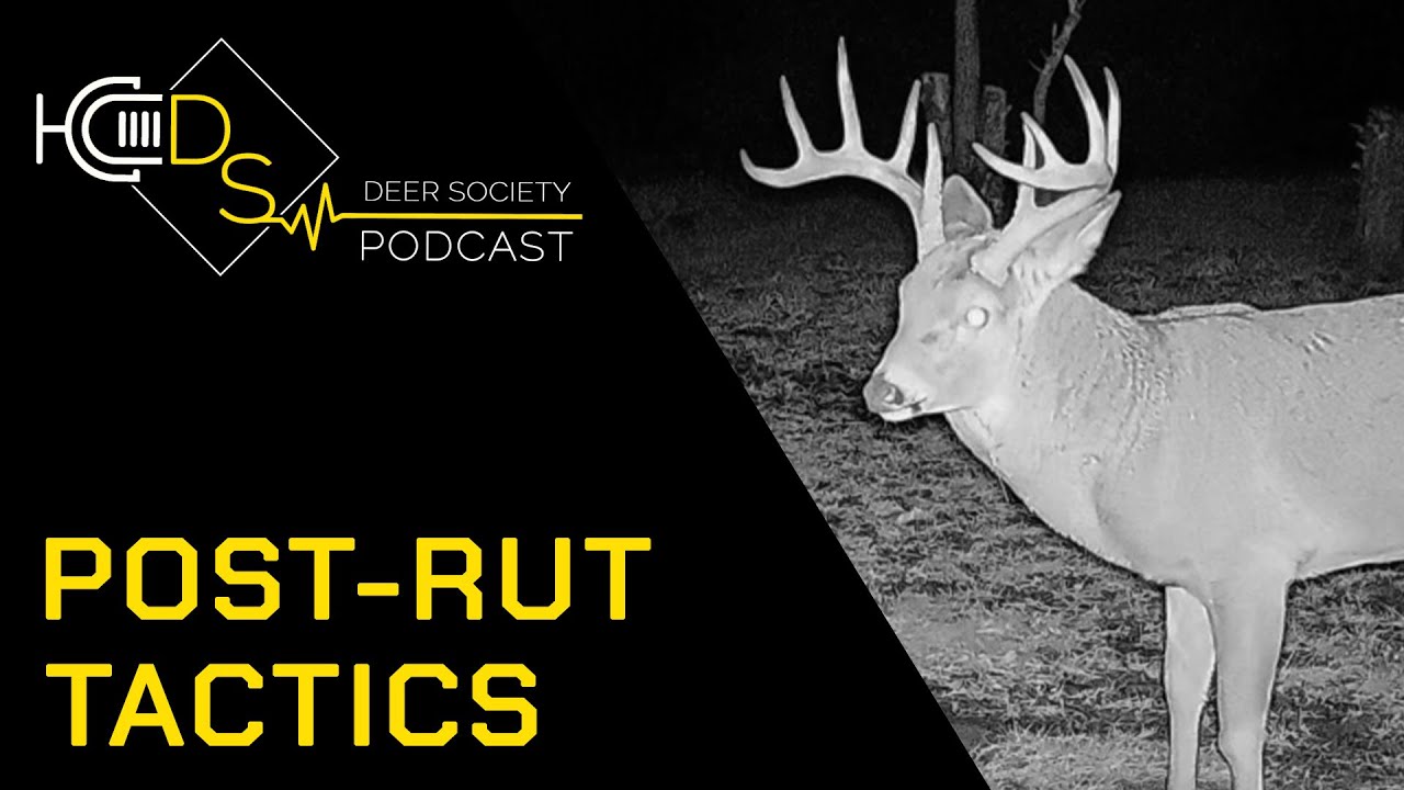 Post-Rut TACTICS | Where should you hunt NOW?! - YouTube
