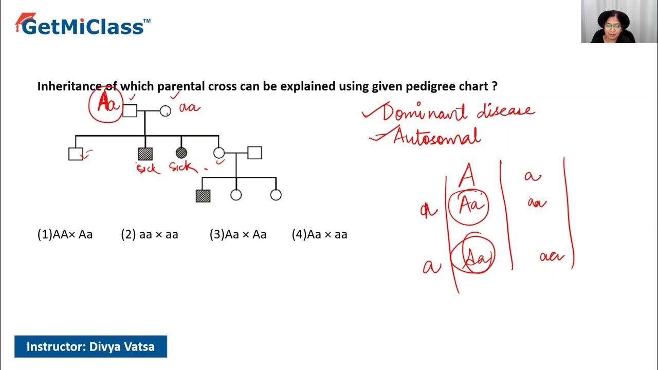 Explaining Pedigree Charts Easily NEET 12th Biology Principle of ...