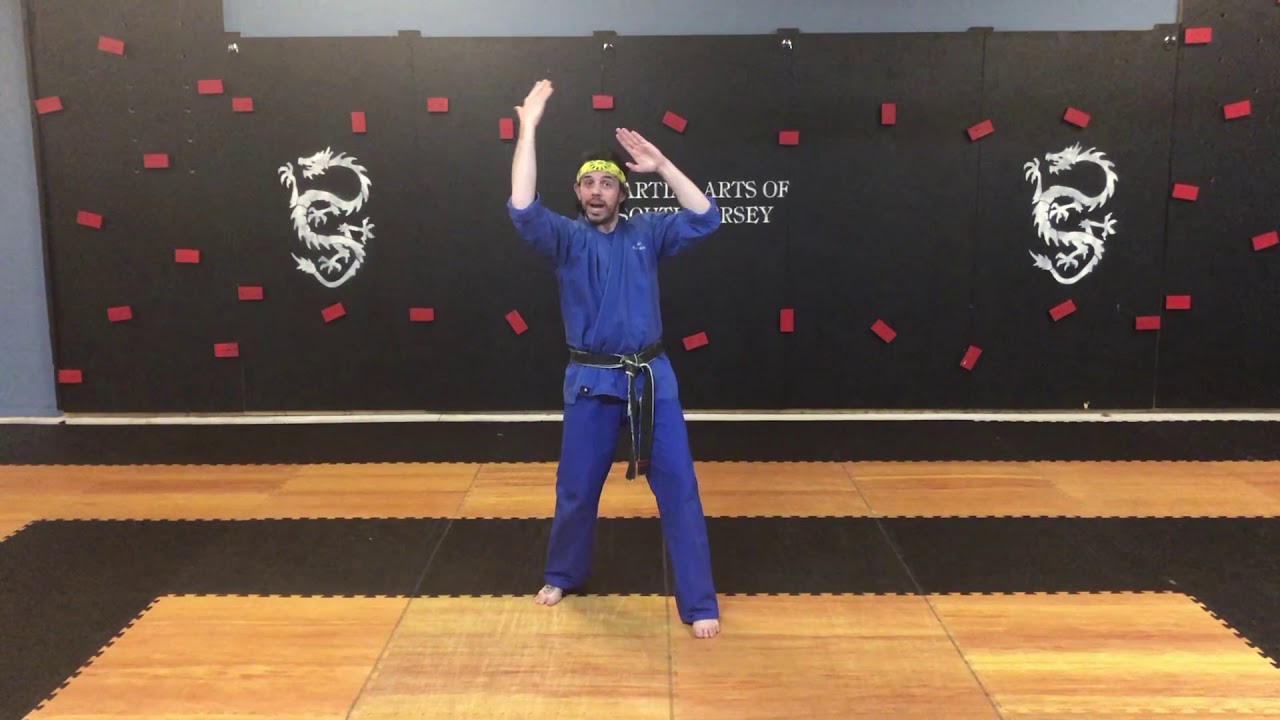 Level 2 Week 3 Basics - Roundhouse Kicks Blocking (low, middle, high ...