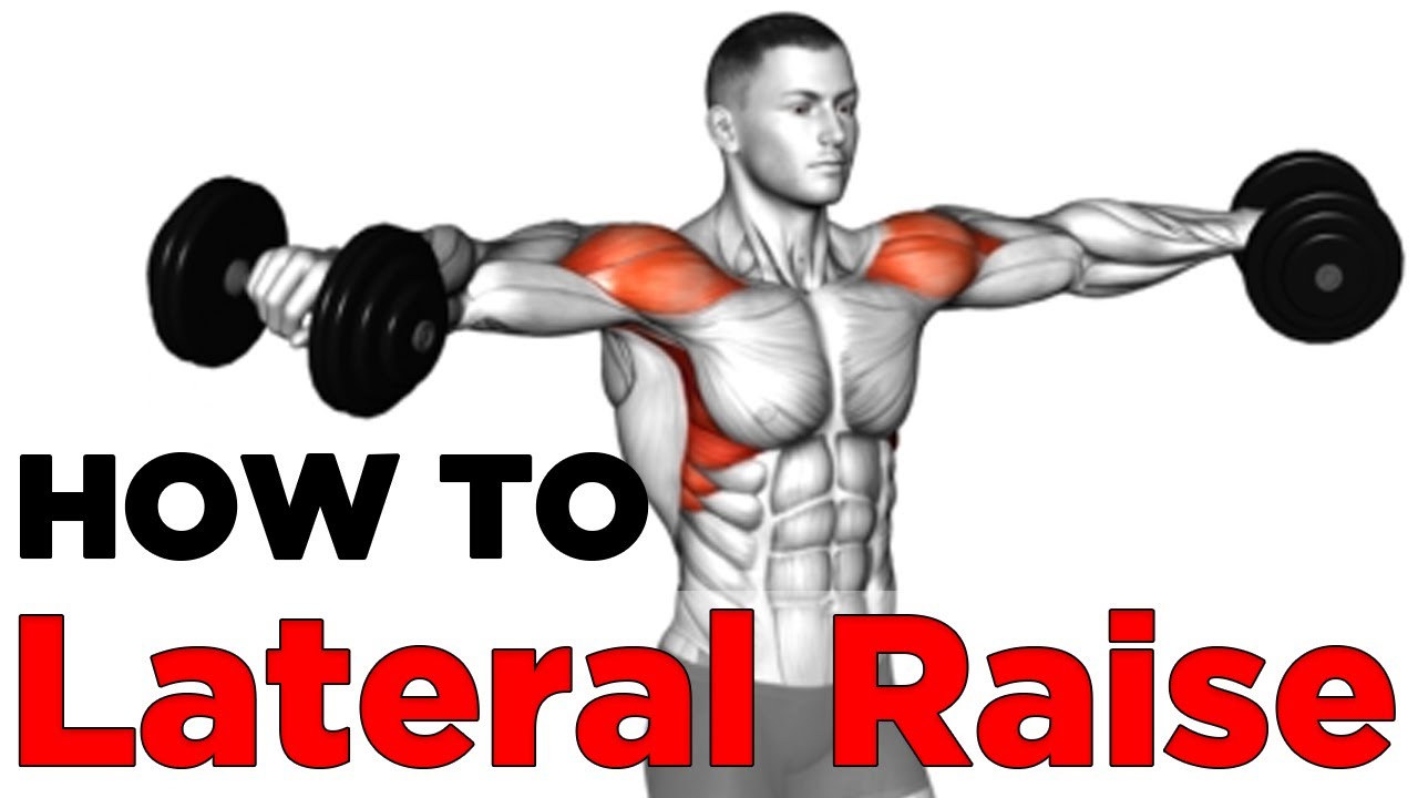 How to Dumbbell Lateral Raise - YouTube