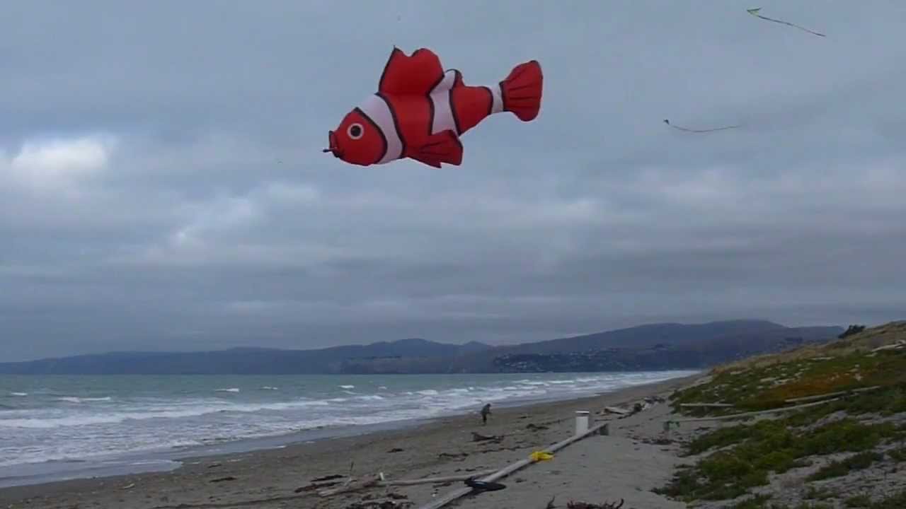 Clown fish kite line laundry - YouTube