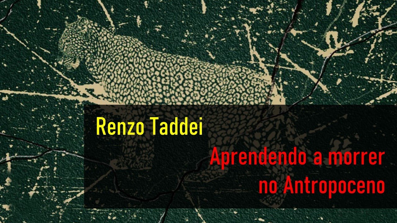 Aprendendo a morrer no Antropoceno, por Renzo Taddei - YouTube